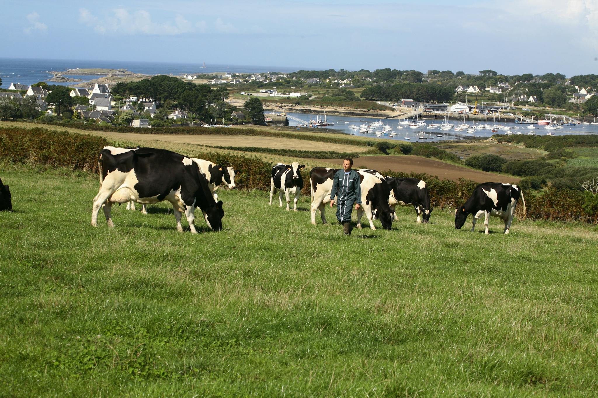 Eurilait - Premium Dairy Products & Speciality Cheese Supplier and Co ...