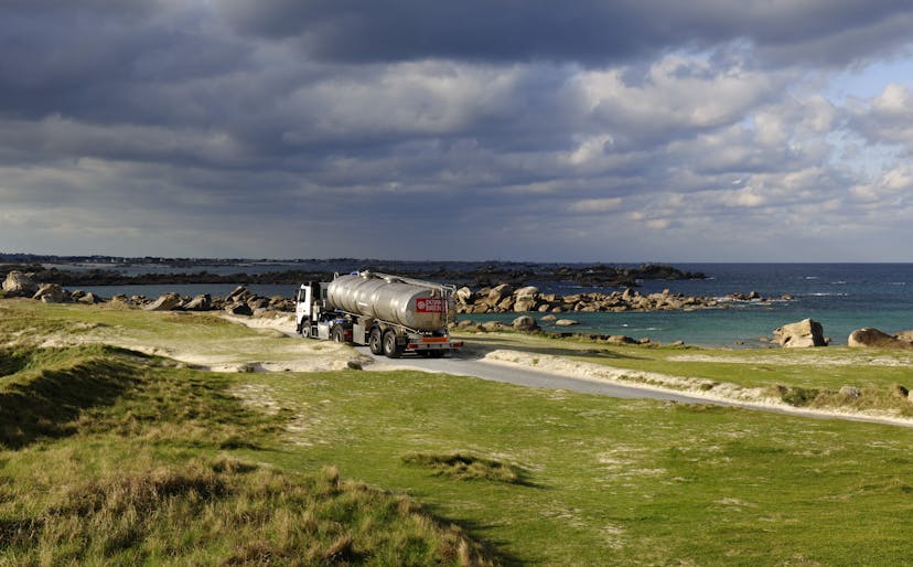 Our Products and Services - Eurilait | Premium Dairy Products ...